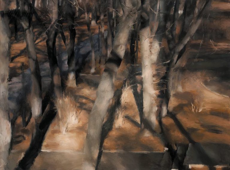 チェース・チェン（Chase Chen）｜軽井沢・御代田のギャラリー｜ARTE GALLERY - ARTE GALLERY（アルテ ギャラリー）